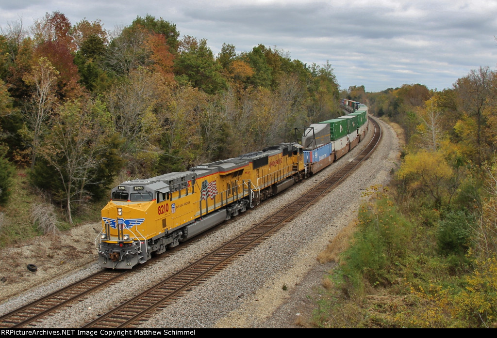UP Yellow In The Fall
